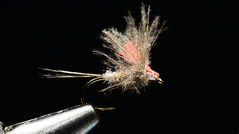 Antonios Mayfly Adult Fly Tying Video Charliesflybox