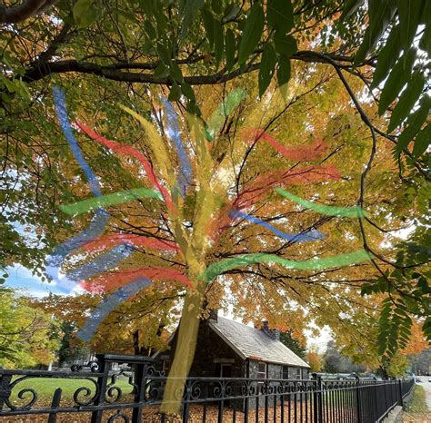 What Is Adaptive Information Processing Aip Model Dr Grace Chen Phd Lmft