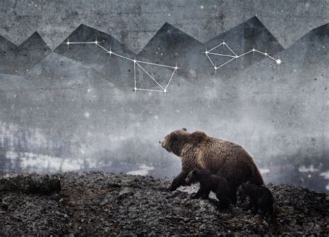 Ursa Major Art Print By Cafelab Society6 Ursa Major Art Prints Art
