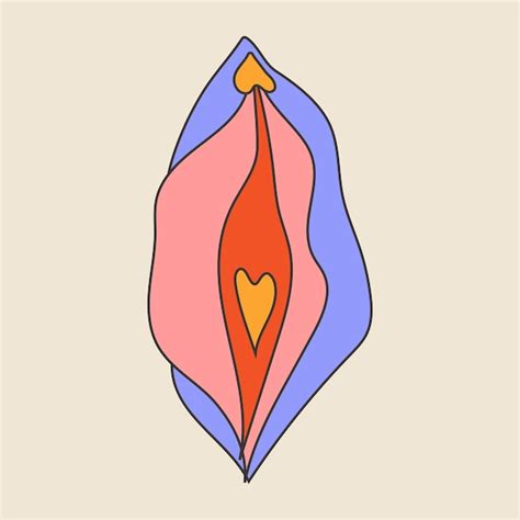 Premium Vector Beauty Female Reproductive System Vulva Illustrator A Vagina