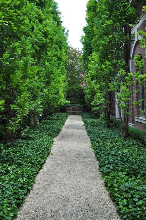 How The Other Half Garden