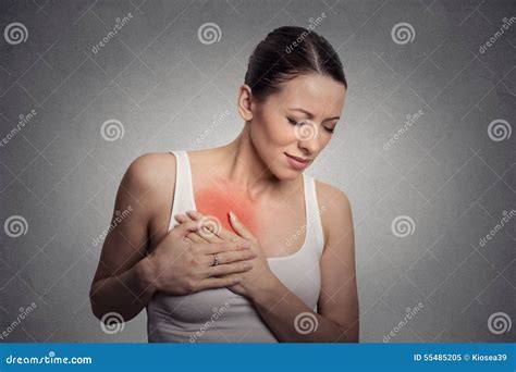 Mastitis Inflammation Of The Breast Abscess Formation Udder Of The