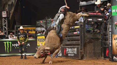 Bushwacker Bull Wallpaper