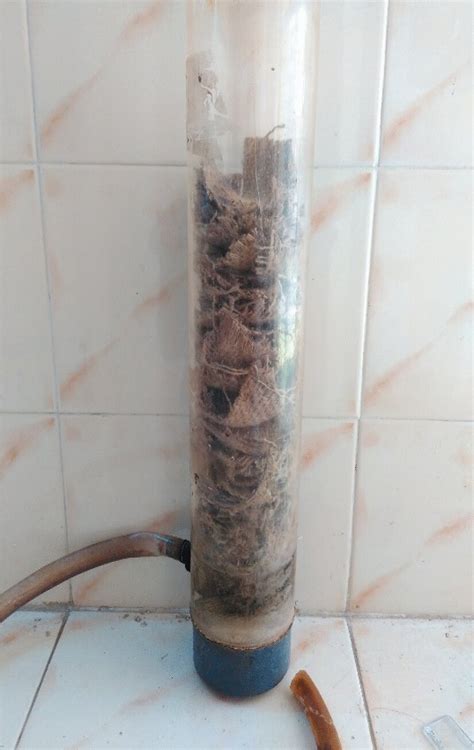 Packed Bed Reactor Column With Single Substrate Jfm Download