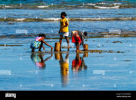 Locals Fishing In The Waters Of The Island Ile Sainte Marie Madagascar