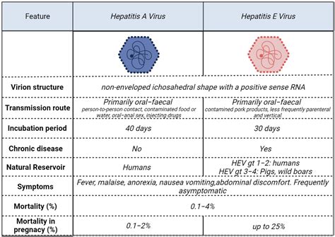 Treatment Options For Hepatitis A And E A Non Systematic Review