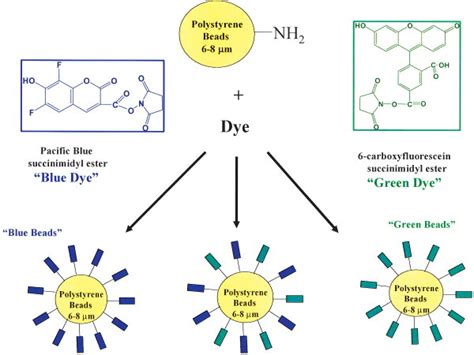 Scheme Depicting A Chemical Modification Of Polystyrene Beads With A