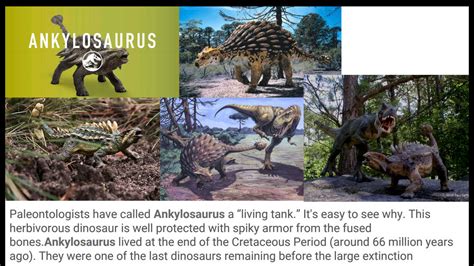 Ankylosaurus By Zt2jurassicelebrity On Deviantart