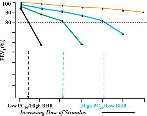 Asthma Basicmedical Key