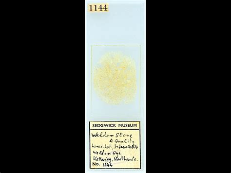 Oolitic Limestone Weldon