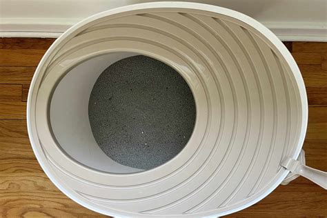 Top Entry Litter Box Dimensions At Ryder Sidaway Blog