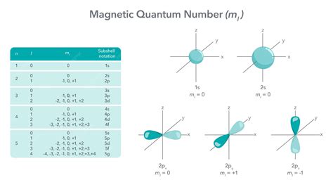 Premium Vector Magnetic Quantum Number Physics Vector Illustration Diagram