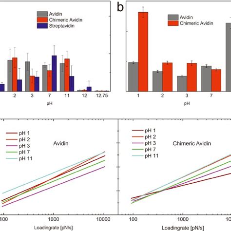 A Molecular Structure Of D Biotin In The β Barrel Avidin Pdb 2avi Download Scientific