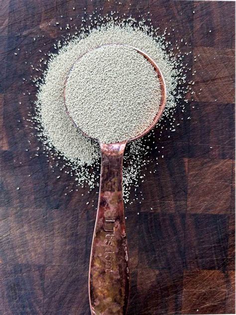 Science Of Yeast Bread