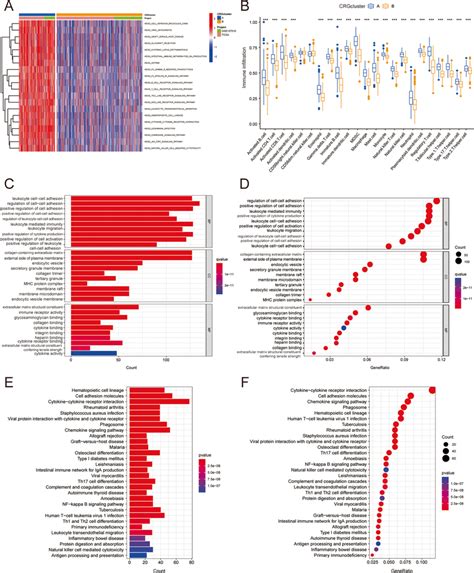 Tme Infiltration Abundance And Functional Enrichment Analysis Of Two