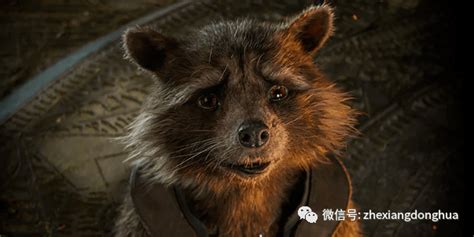 Maya：三维动画和视觉特效软件角色工具北京