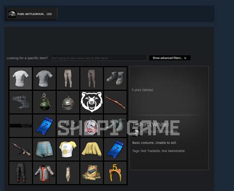 Купить Акаунт Steam з PUBG: BATTLEGROUNDS 406 в интернет магазине SHOPI ...