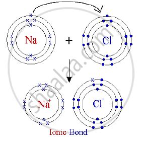 Draw Orbit Structure And Electron Dot Diagram Of Naci Mgcl And Cao Science Shaalaa