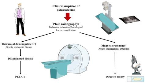 Towards The Search For Potential Biomarkers In Osteosarcoma State Of The Art And Translational