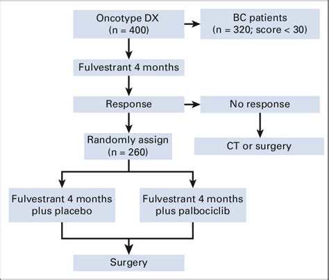 Safia Trial Design Flow Sheet Bc Breast Cancer Ct Chemotherapy