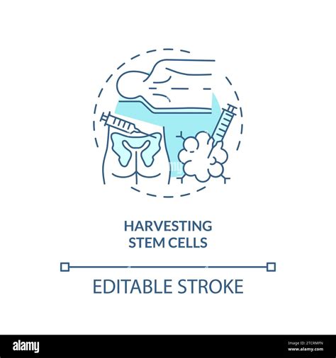 Thin Line Simple Blue Harvesting Stem Cells Icon Concept Stock Vector