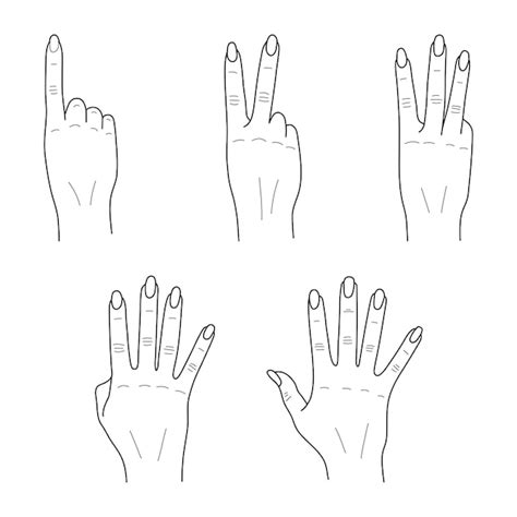 premium vector a set of hand doodle illustrations showing the numbers