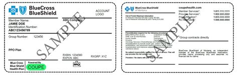 Lesson 16 Private Health Insurance Company