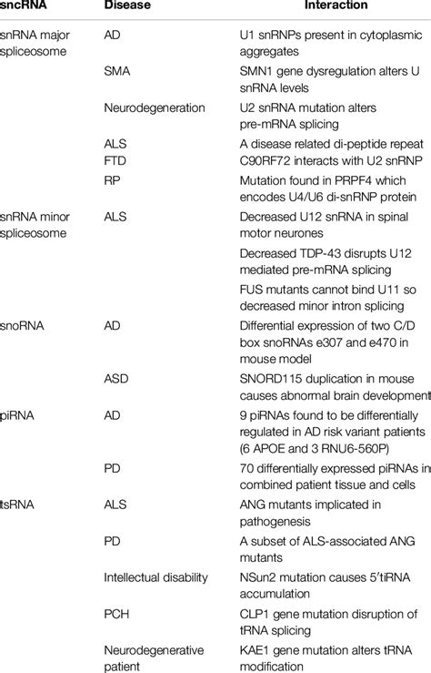 Interactions Of Small Non Coding Rnas With Neurodegenerative Diseases