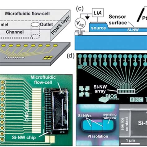 Integrated Microfluidic Biosensor Cartridge Consisting Of A Si Nw Download Scientific Diagram