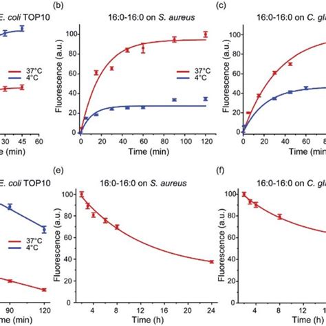 Membrane Insertion Of Lipid Dna Conjugates Onto Grampositive Cells A Download Scientific