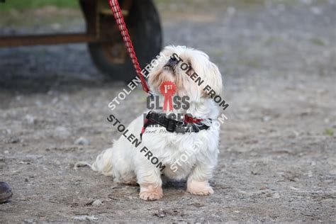 S041108 2024 1st Class Images