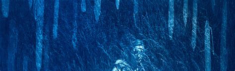 Breaking The Rules Creative Cyanotype Explorations Online Maine