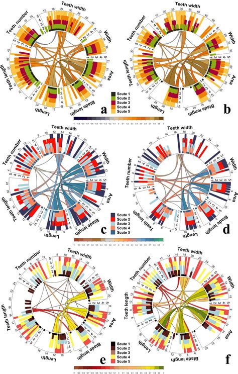 Circular Representation Of Correlation Relationship Between All Download Scientific Diagram