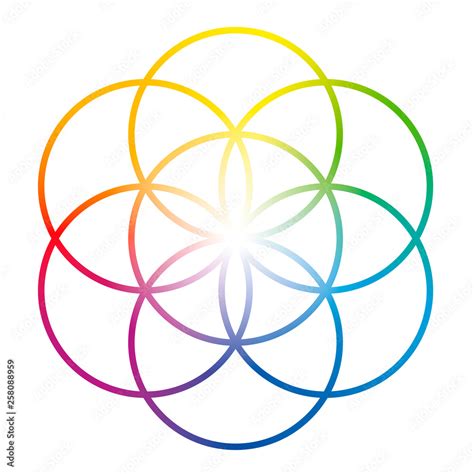Flower Of Life Seven Circles Best Flower Site