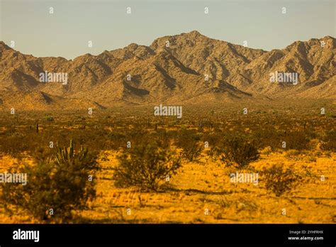 Sonoran Desert El Pinacate Biosphere Reserve And The Great Altar