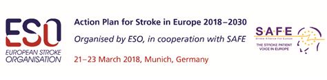 The Action Plan For Stroke In Europe 2018 To 2030 Safe