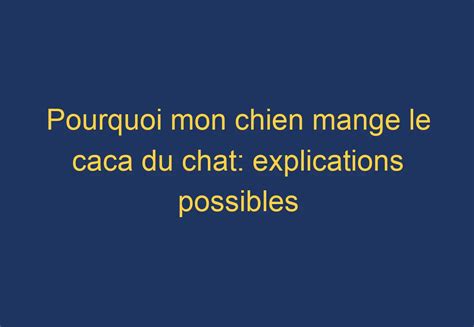 Pourquoi Mon Chien Mange Le Caca Du Chat Explications Possibles