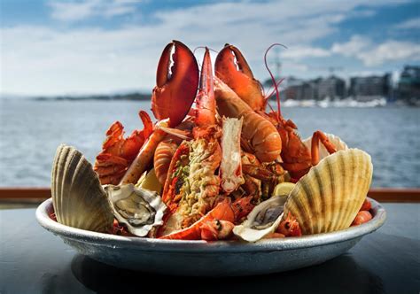 How To Get A Real Taste Of Northern Norway The Independent The