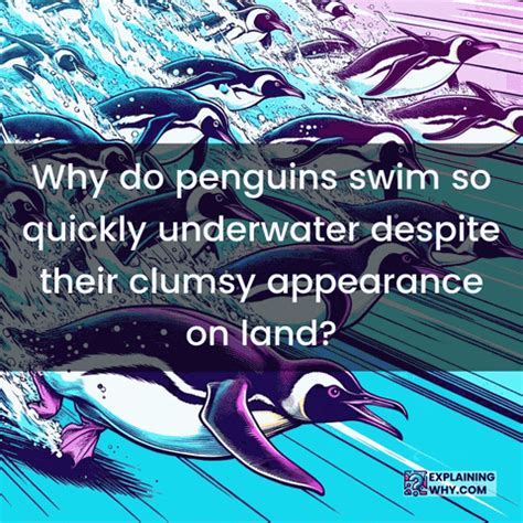 Penguin Swim S Find And Share On Giphy