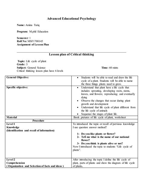 Lesson Plan Assignment Docx