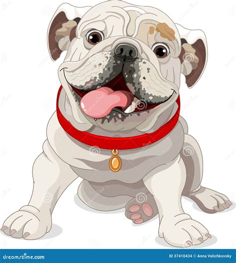 English Bulldog Stock Vector Illustration Of Designs 37410434