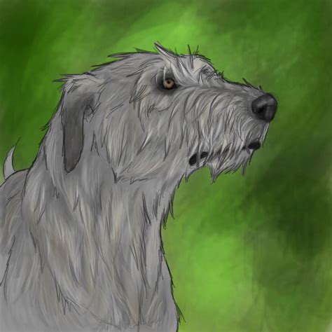 Irish Wolfhound 2 By Flobbybobby On Deviantart
