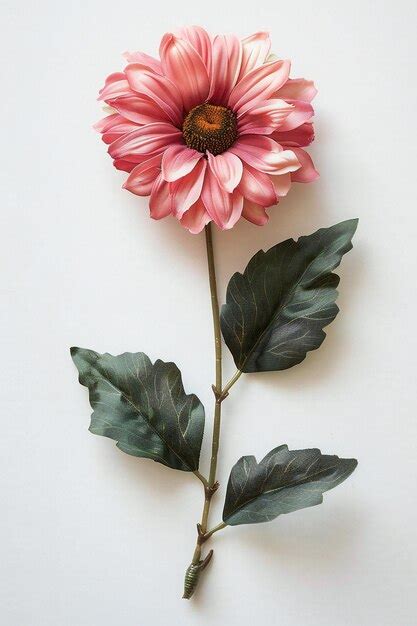 Flower With Long Stem Images Free Download On Freepik