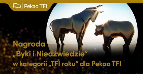 Rafał Krajewski Posted On Linkedin