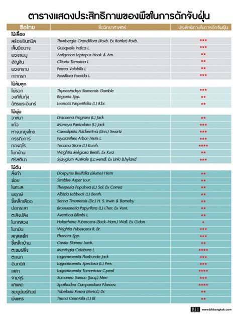 เผยรายชื่อต้นไม้ 35 ชนิด มีประสิทธิภาพในการดักฝุ่นละออง Blt Bangkok
