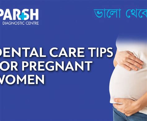 Stages Of Embryo Development Sparsh Diagnostic Center