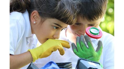 Forest School In Champittet Interview Of Philippe De Korodi Head Of