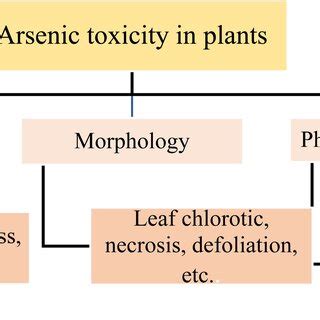 Pdf A Review On Arsenic In The Environment Bio Accumulation
