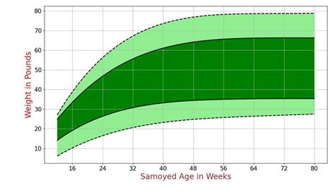 How Much Should Samoyed Weigh Samoyed Weight Calculator