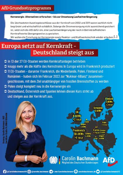 Flyer Und Handzettel Carolin Bachmann Afd